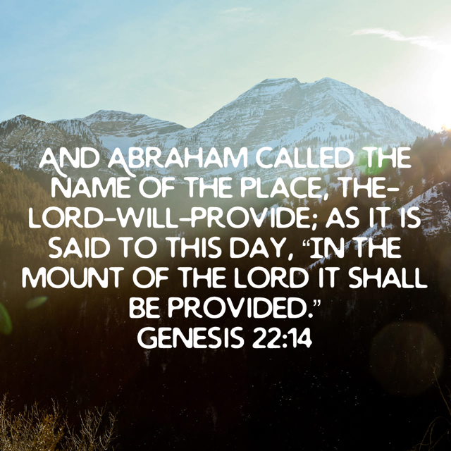 The Lord Will Provide – Adonai's Appeal