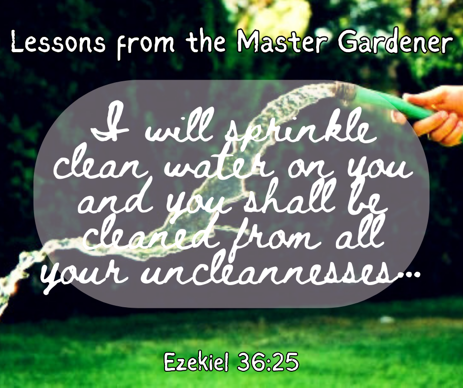 God’s Cleansing Water – Adonai's Appeal